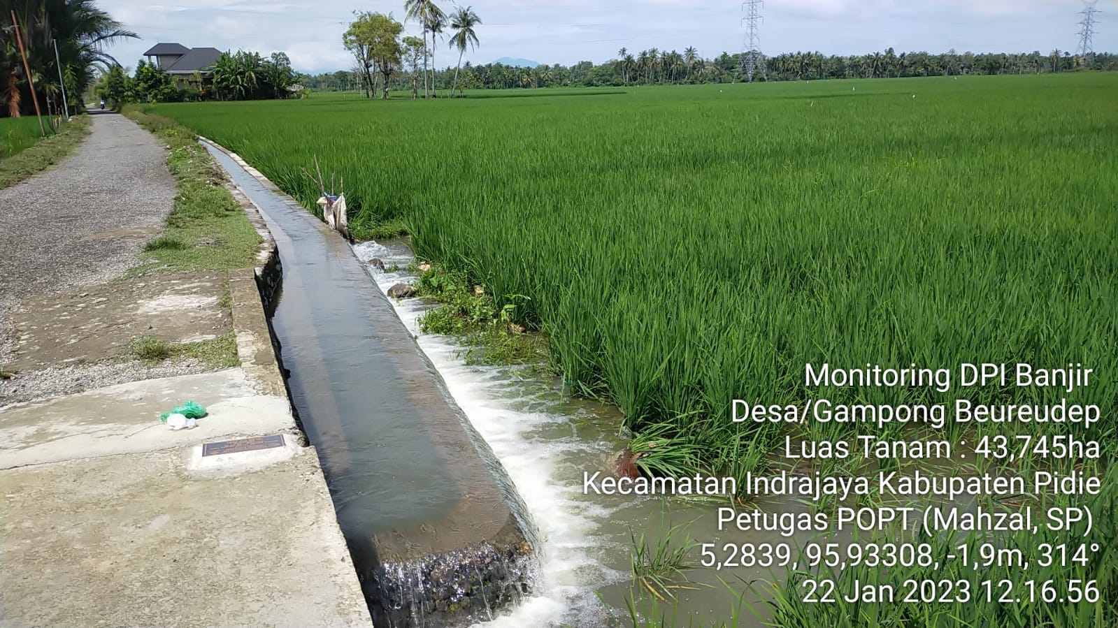 KEMENTAN RESPONSIF LAKUKAN PENANGANAN BANJIR DI AREAL PERSAWAHAN ...